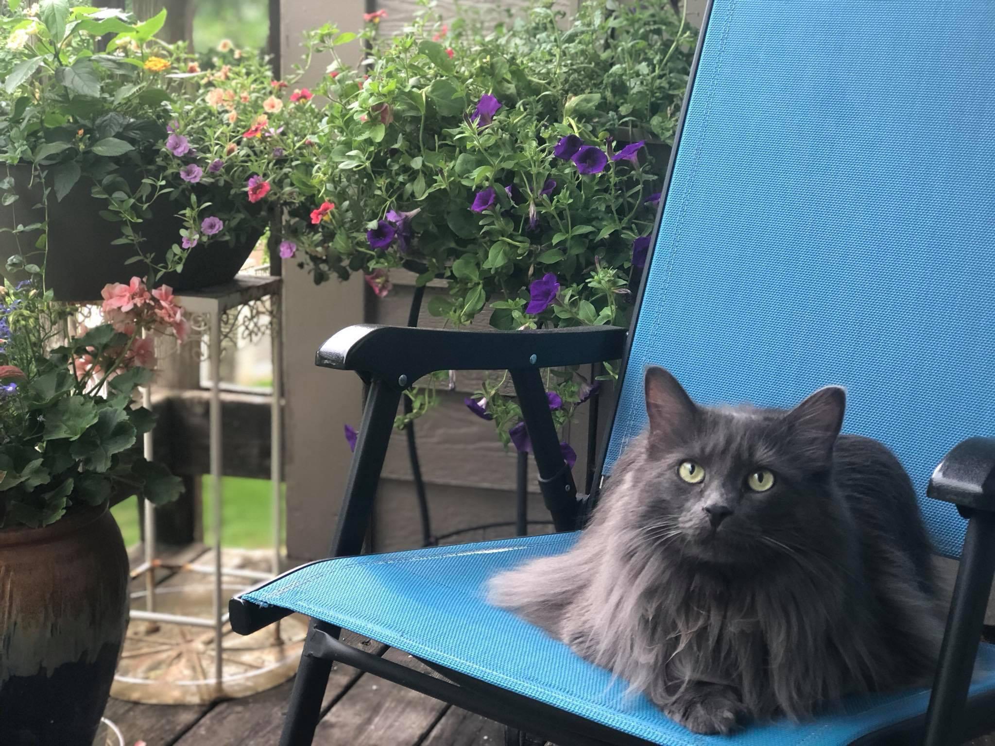 Another throwback. Makes me want to get another plant this year ...