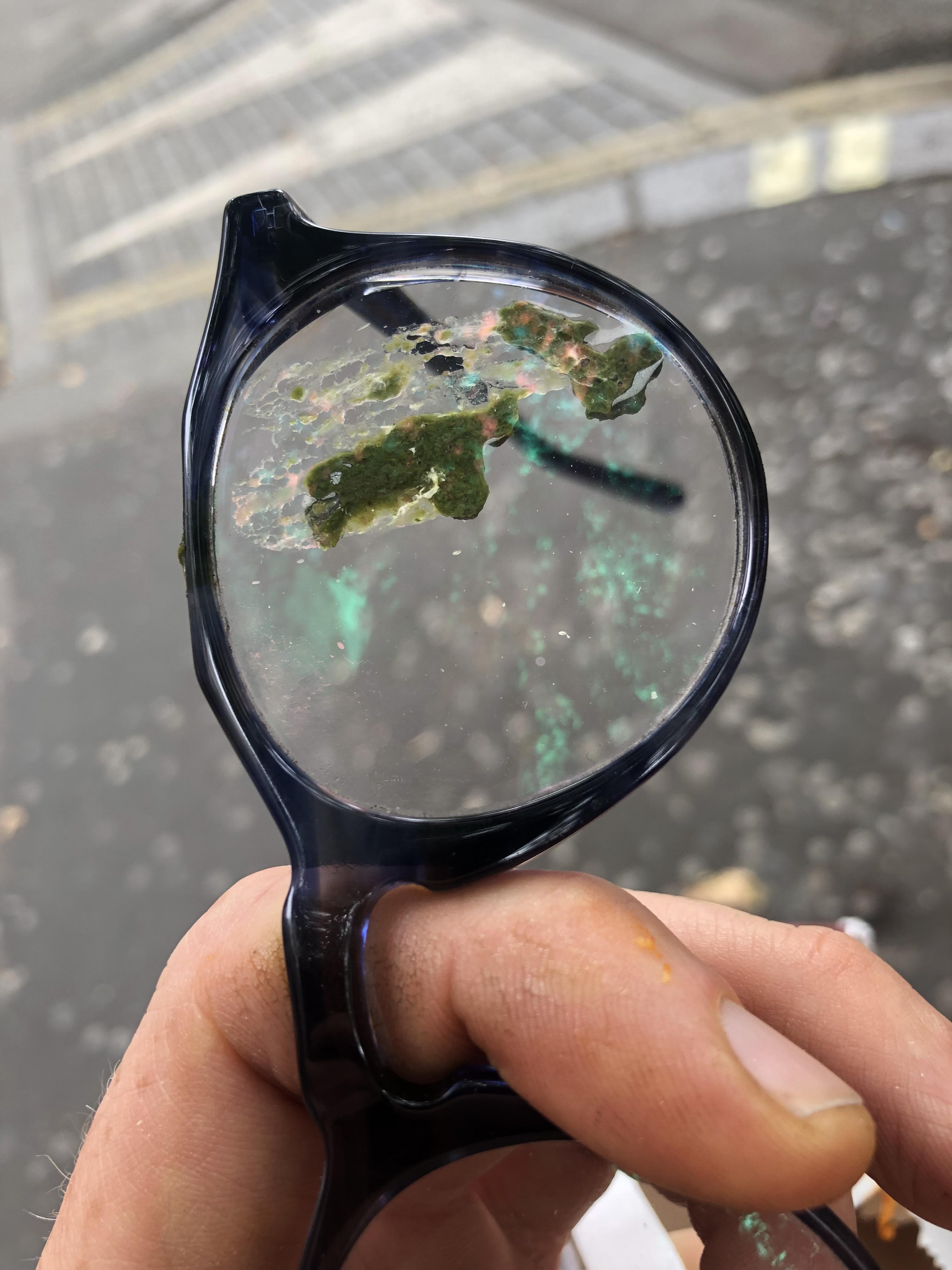 Apparently it’s “good luck” | Scrolller