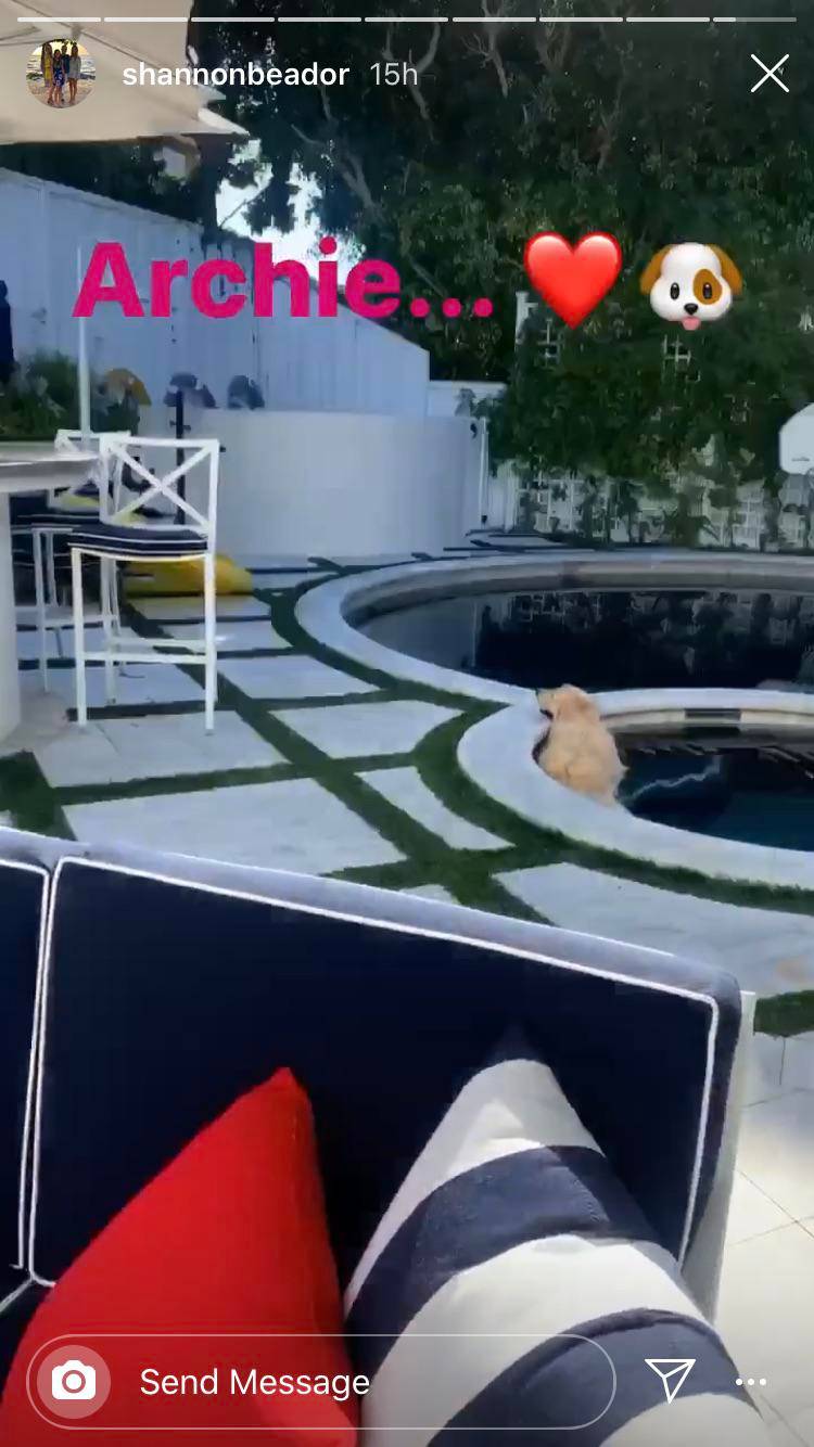 Archie living his best life | Scrolller