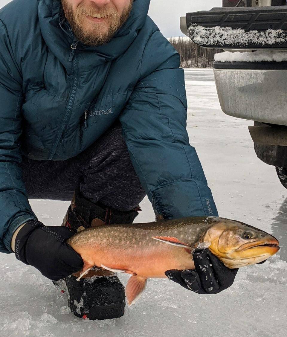 Arctic Char | Scrolller