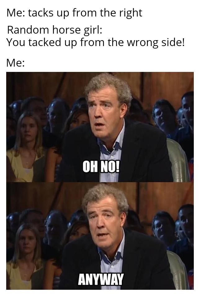 Are memes allowed? | Scrolller