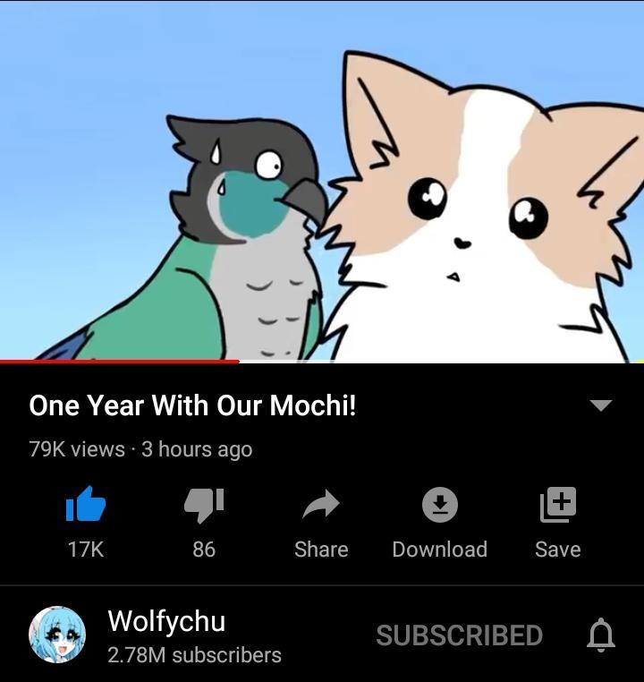 Ari in Wolfy's animation | Scrolller