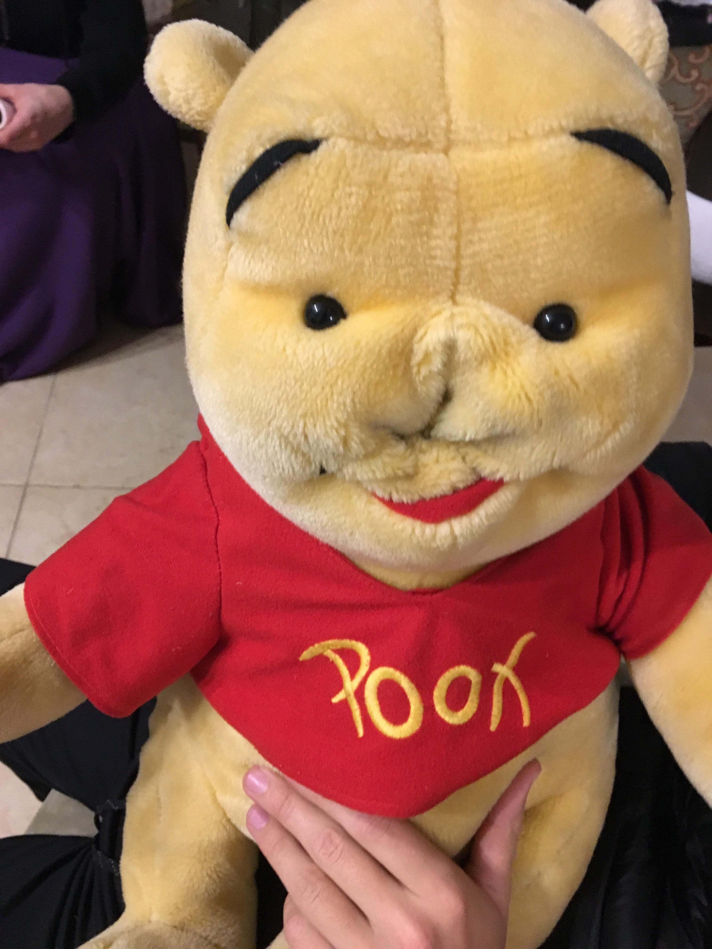 Artie Lange's pooh bear | Scrolller