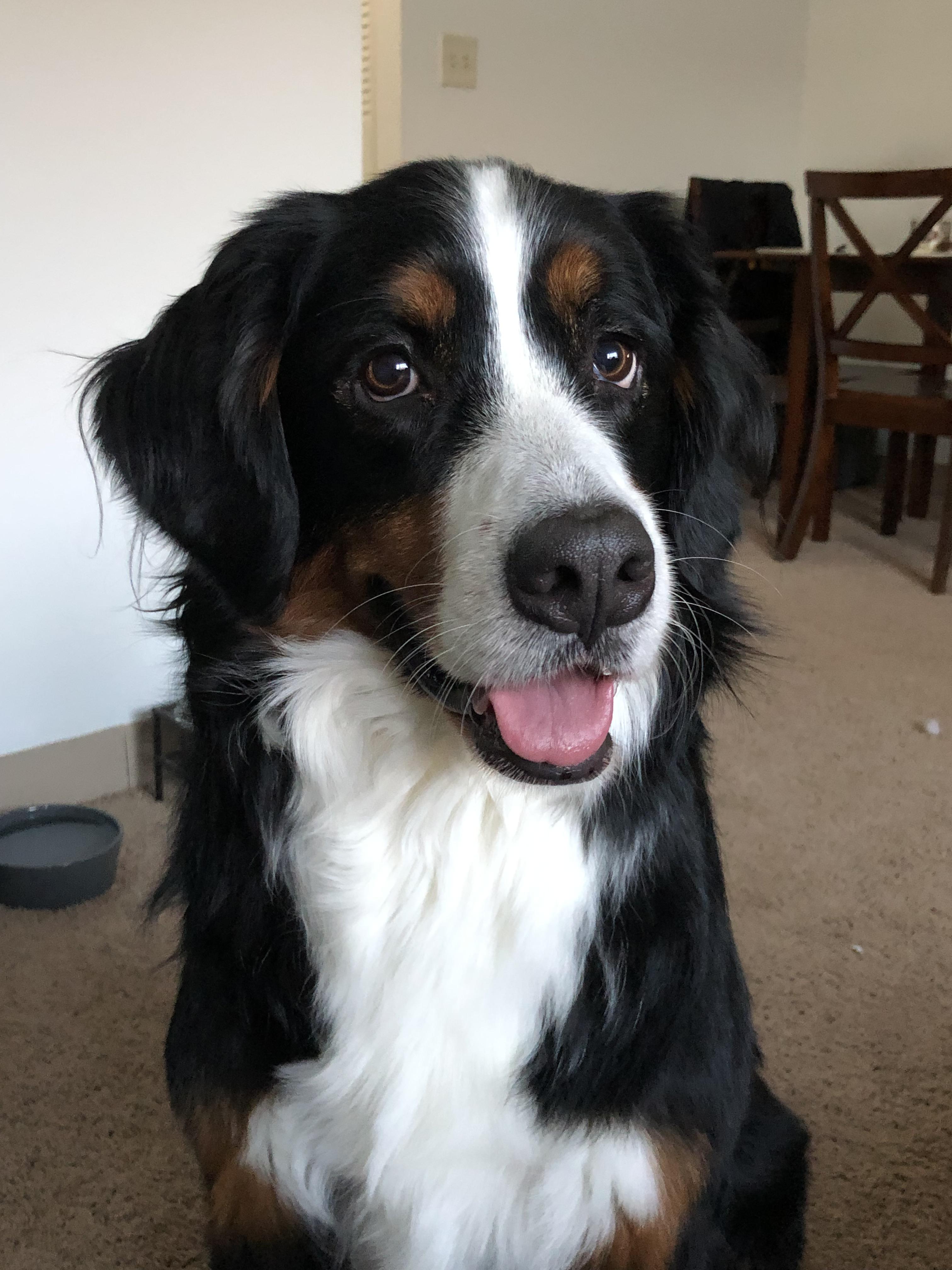 Arya of house Bark! | Scrolller