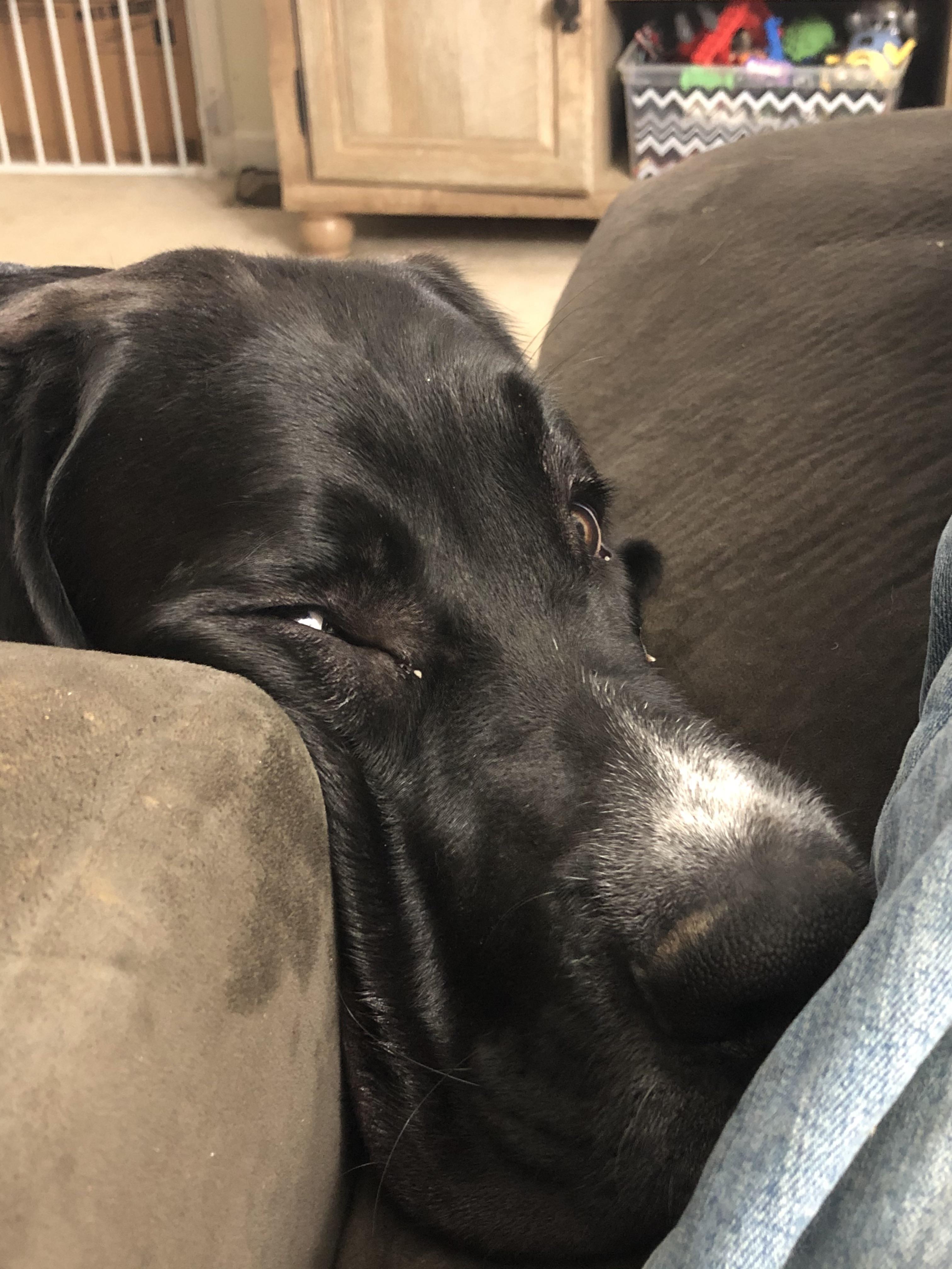 Attention??? | Scrolller