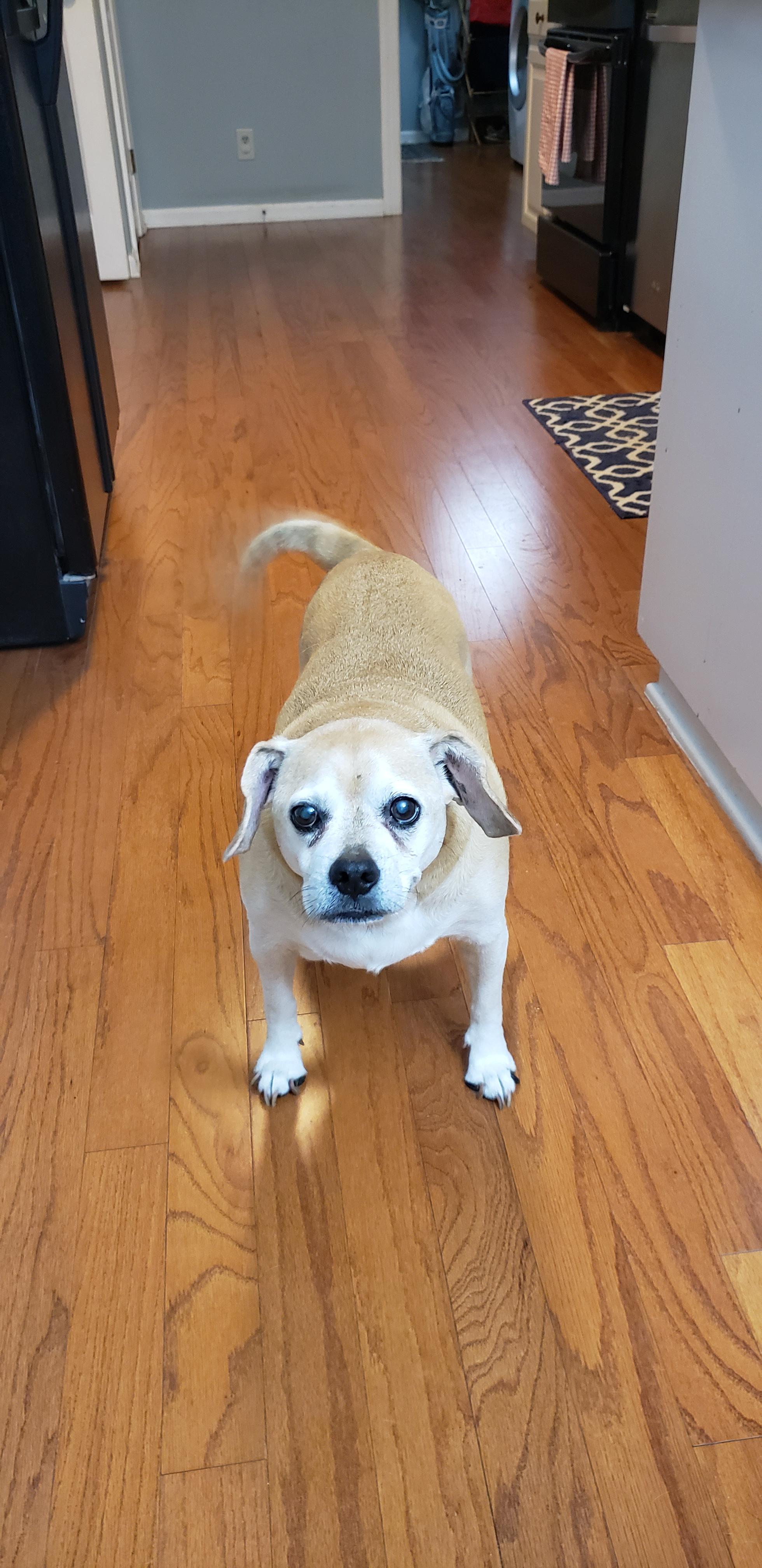 Atticus is 12 years old | Scrolller