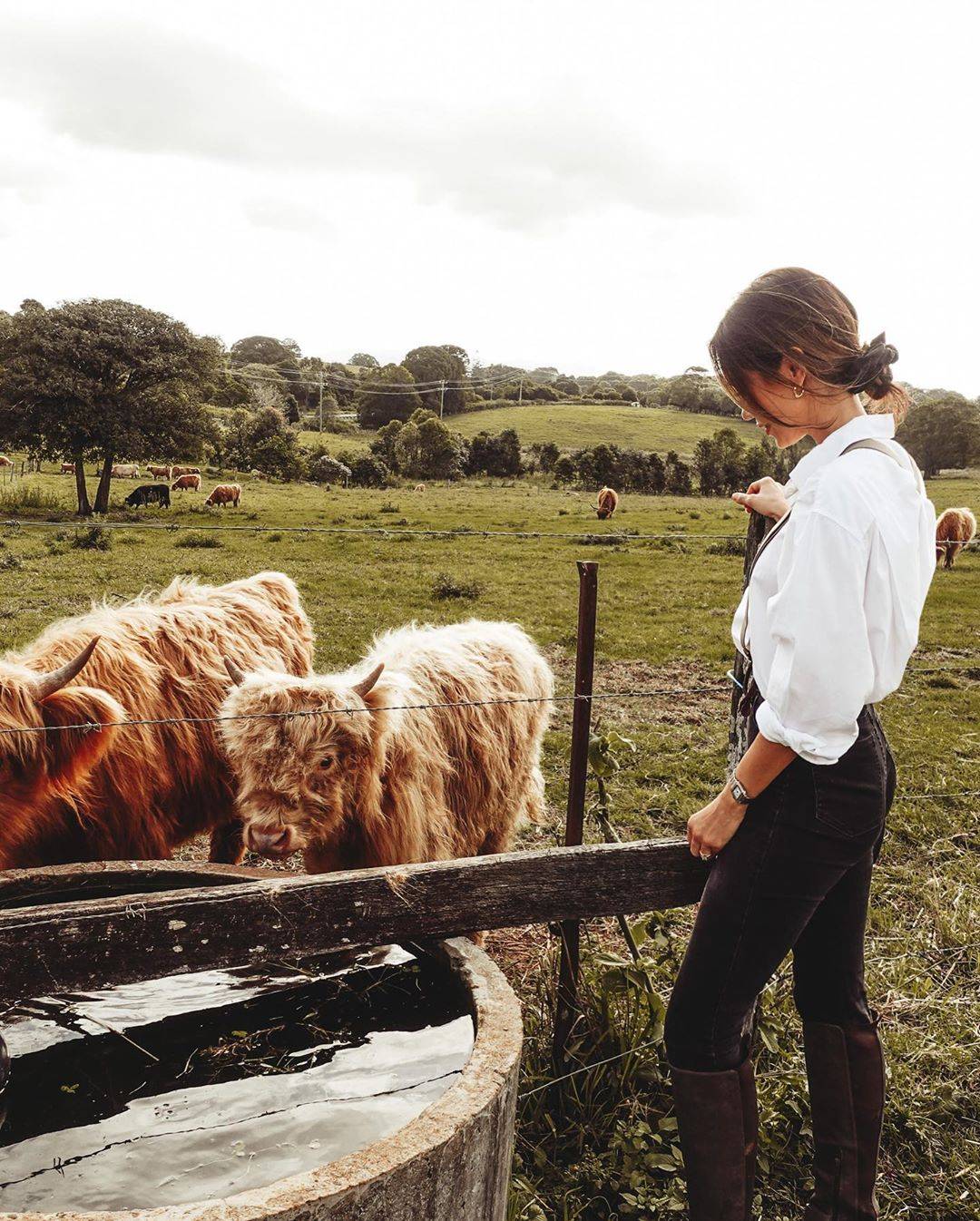 Aussie Adventure 2 | Scrolller