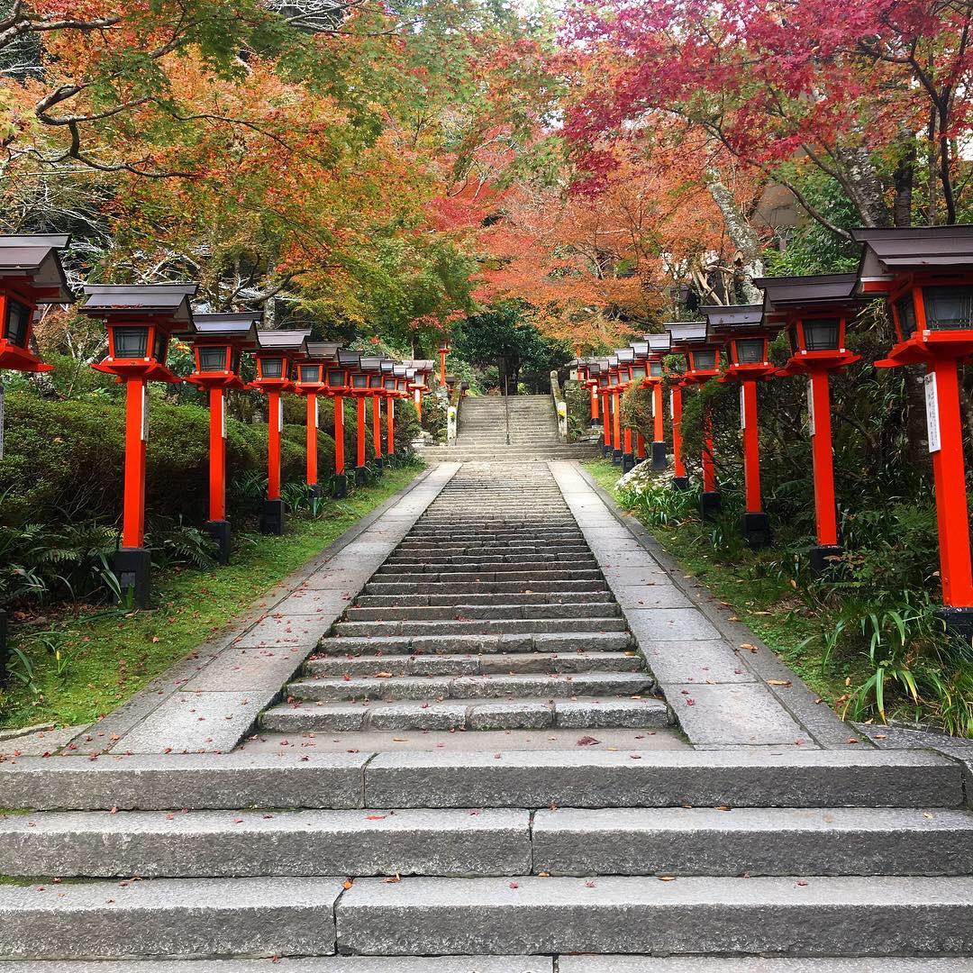 Autumn in Japan is severely underrated | Scrolller