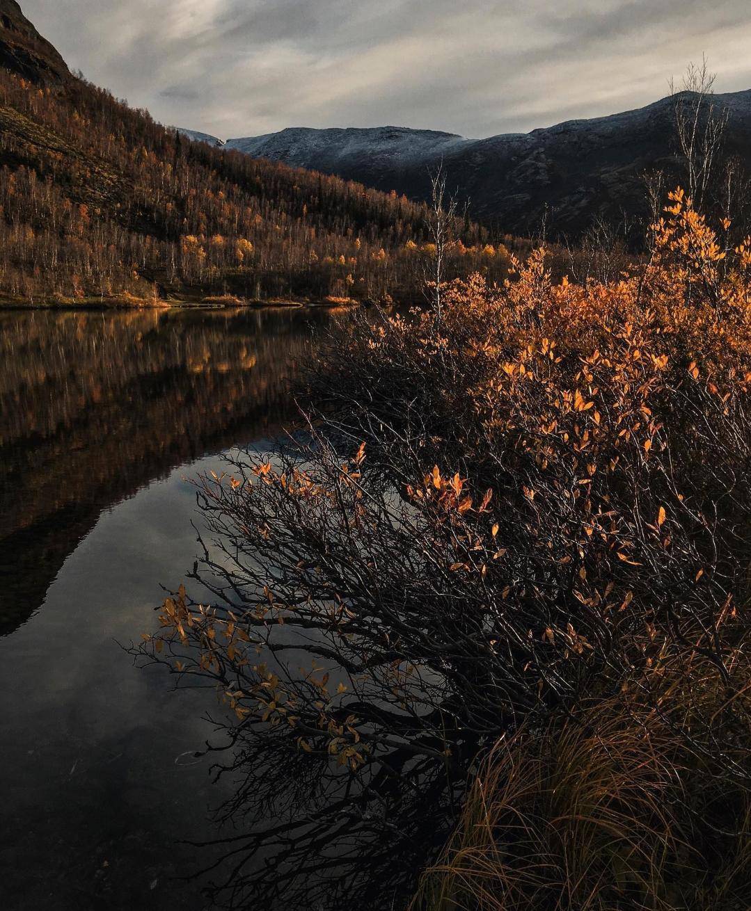 Autumn leaves | Scrolller