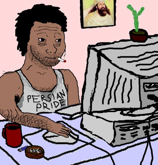 Average r/Iran user. | Scrolller