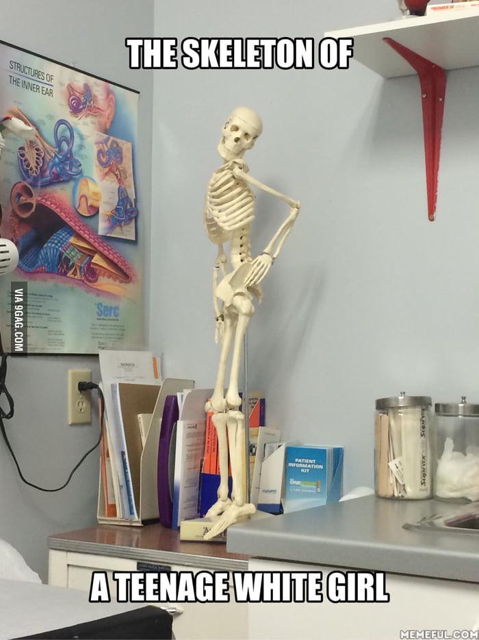 Average skeleton of a teenage white girl | Scrolller