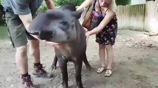 Awww yes, right there | Scrolller