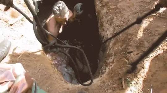 Baby elephant extraction | Scrolller