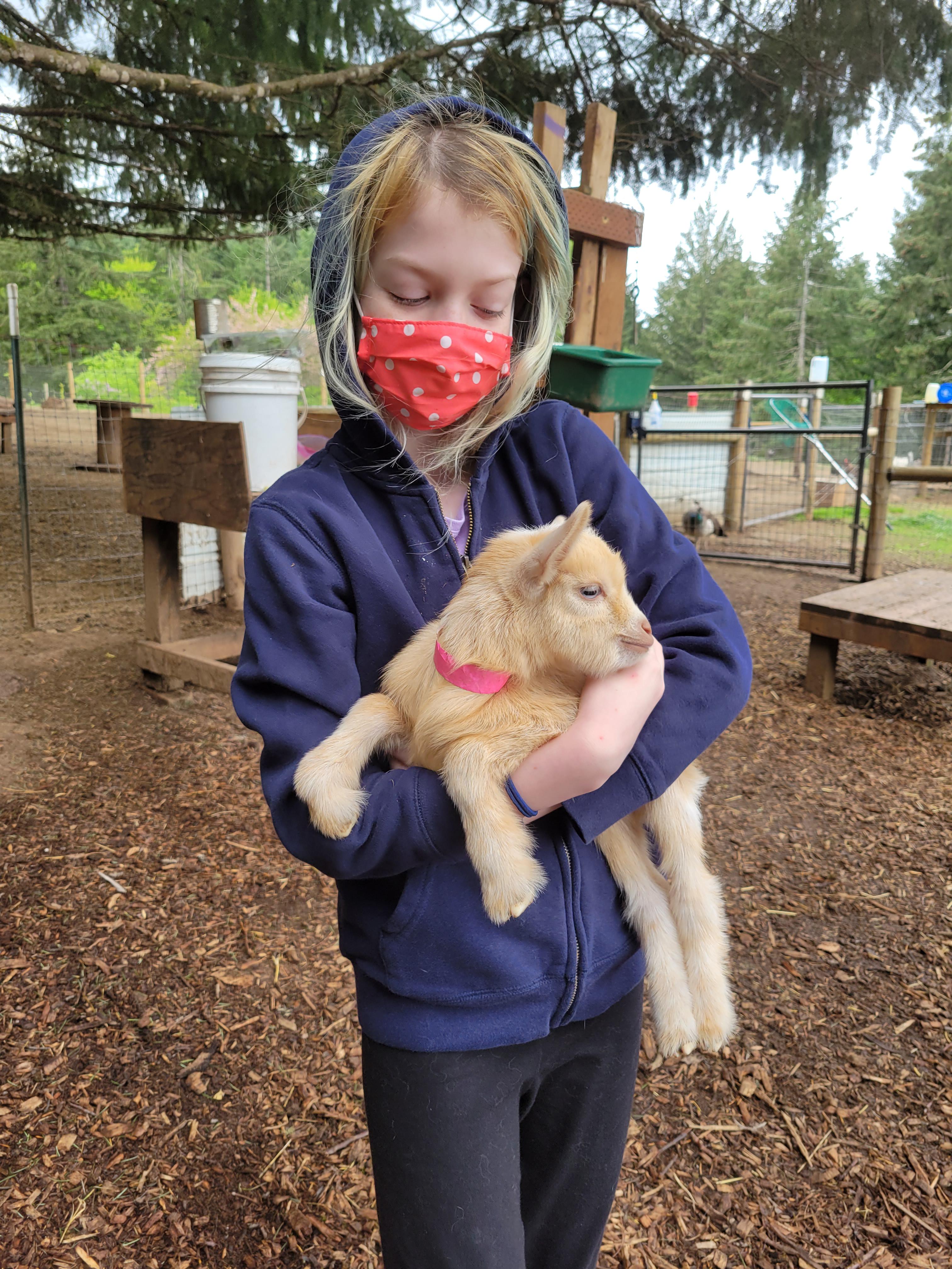 Baby goats! | Scrolller