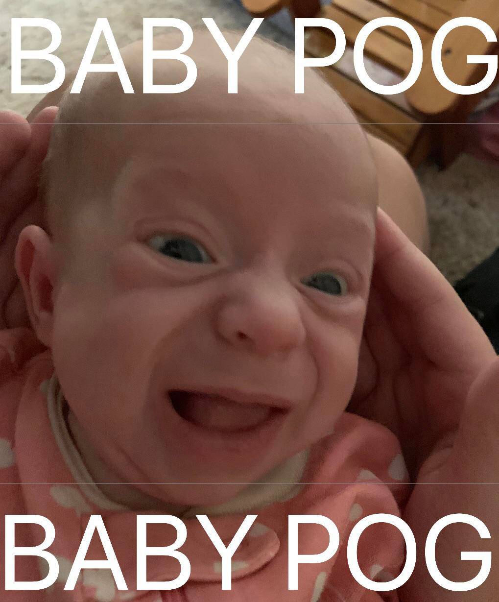 Baby Pog | Scrolller