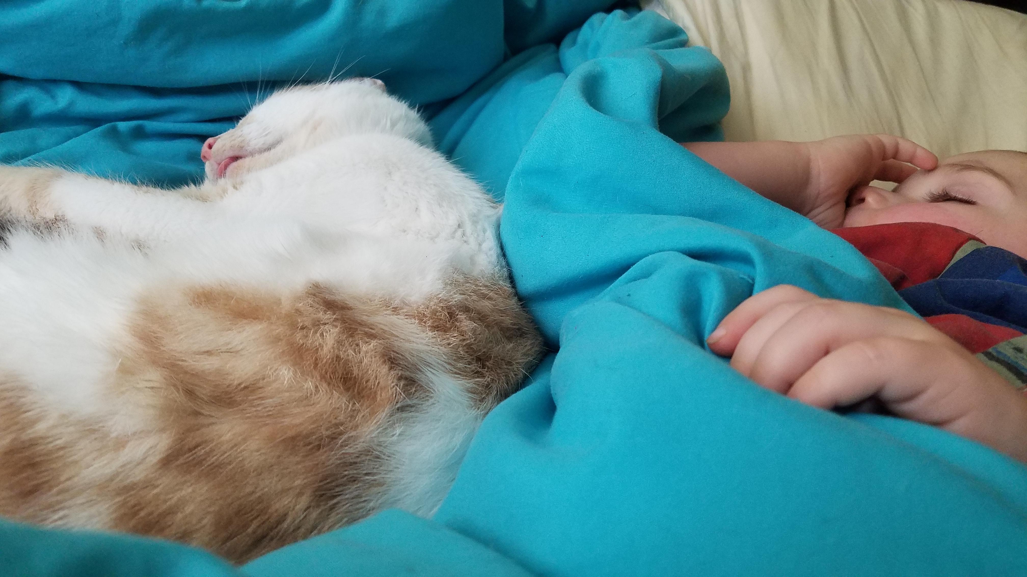 Baby puddle | Scrolller