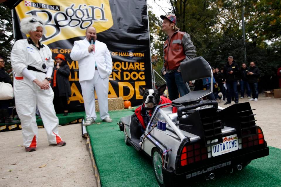 Back to the Future! | Scrolller