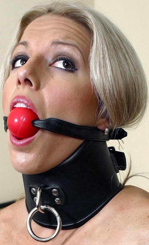 Ballgag + posture collar [x-post /r/collared] | Scrolller
