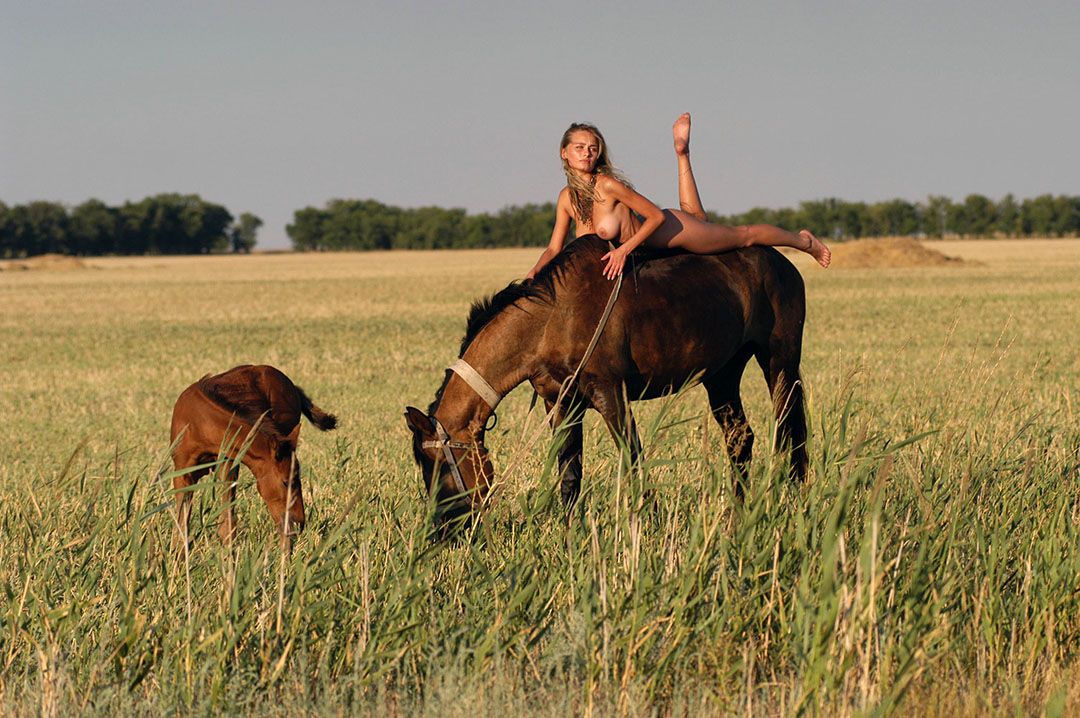 Beautiful [x-post r/nakedgirlsandhorses] | Scrolller