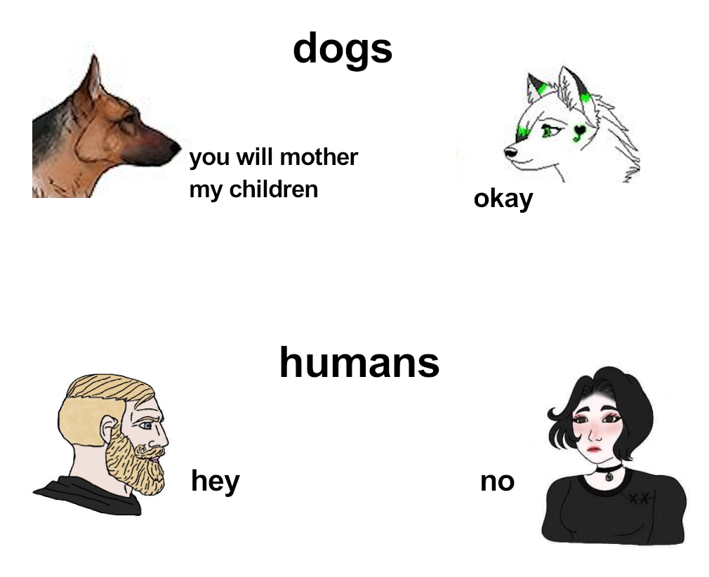 Barking up the wrong tree | Scrolller