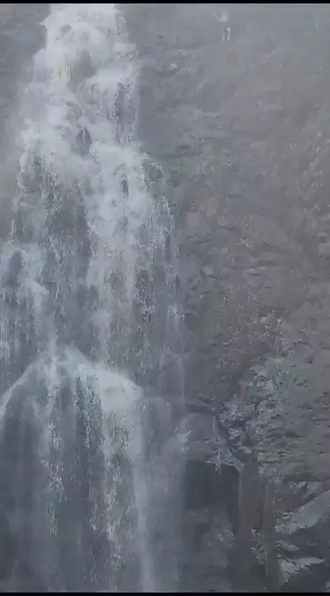 Barley.. | Scrolller