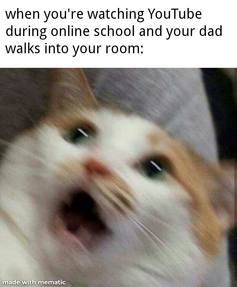 Based on a true story | Scrolller