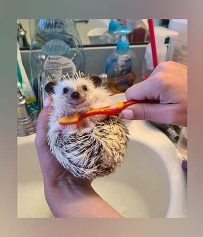 Bath time always brings on an existential crisis | Scrolller