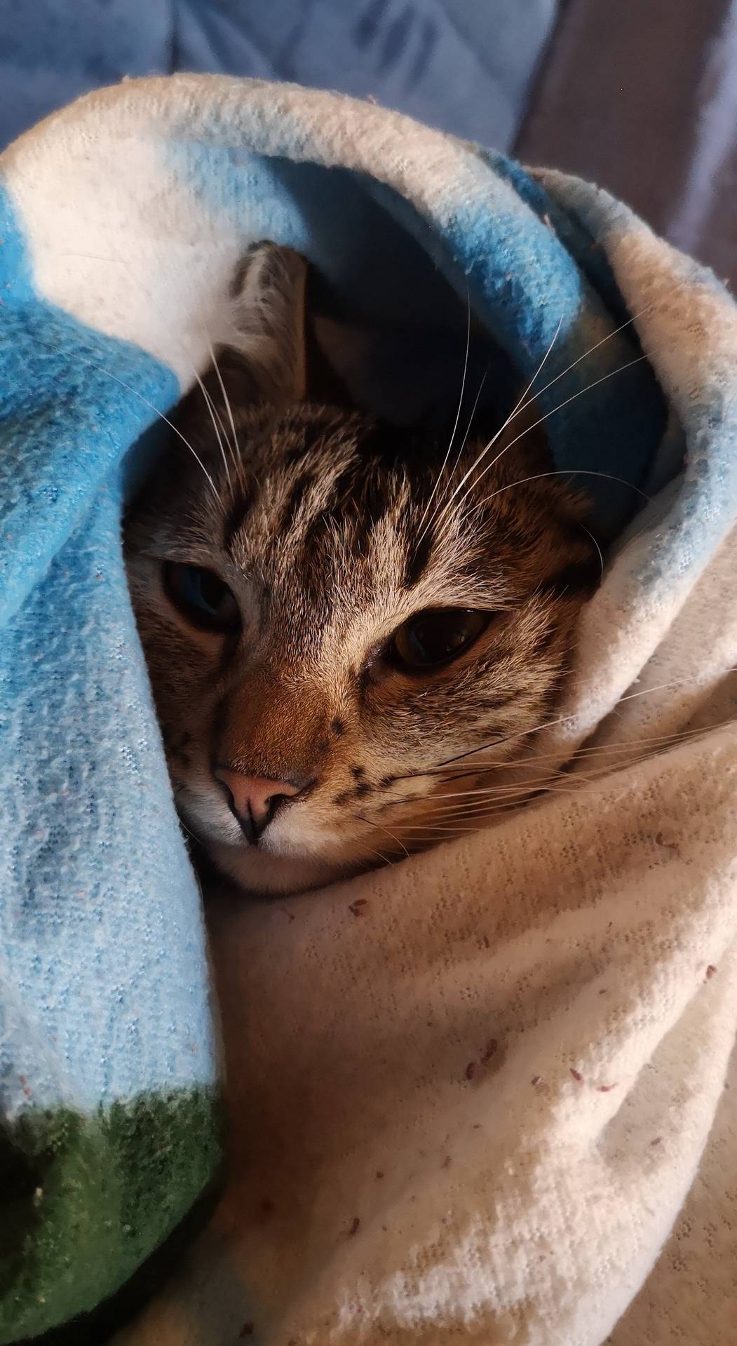 Bathed the stinky boy | Scrolller