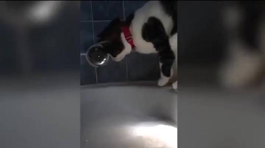 Bathtime | Scrolller