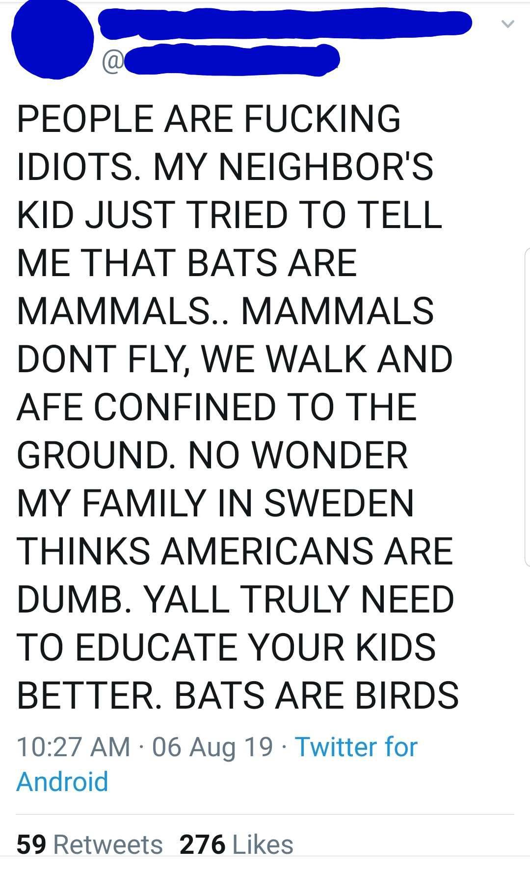 Bats Are Birds | Scrolller