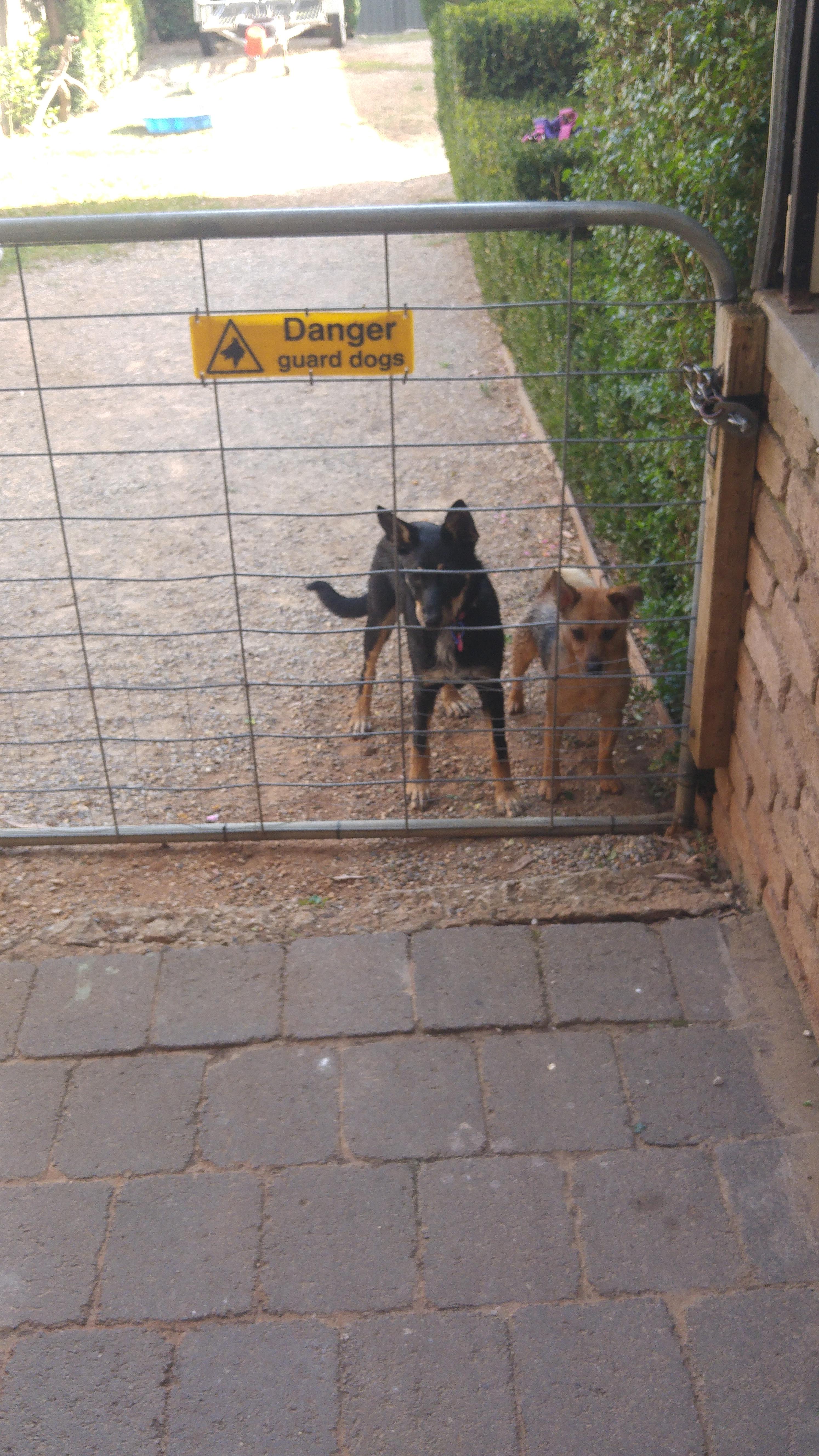 Be careful | Scrolller