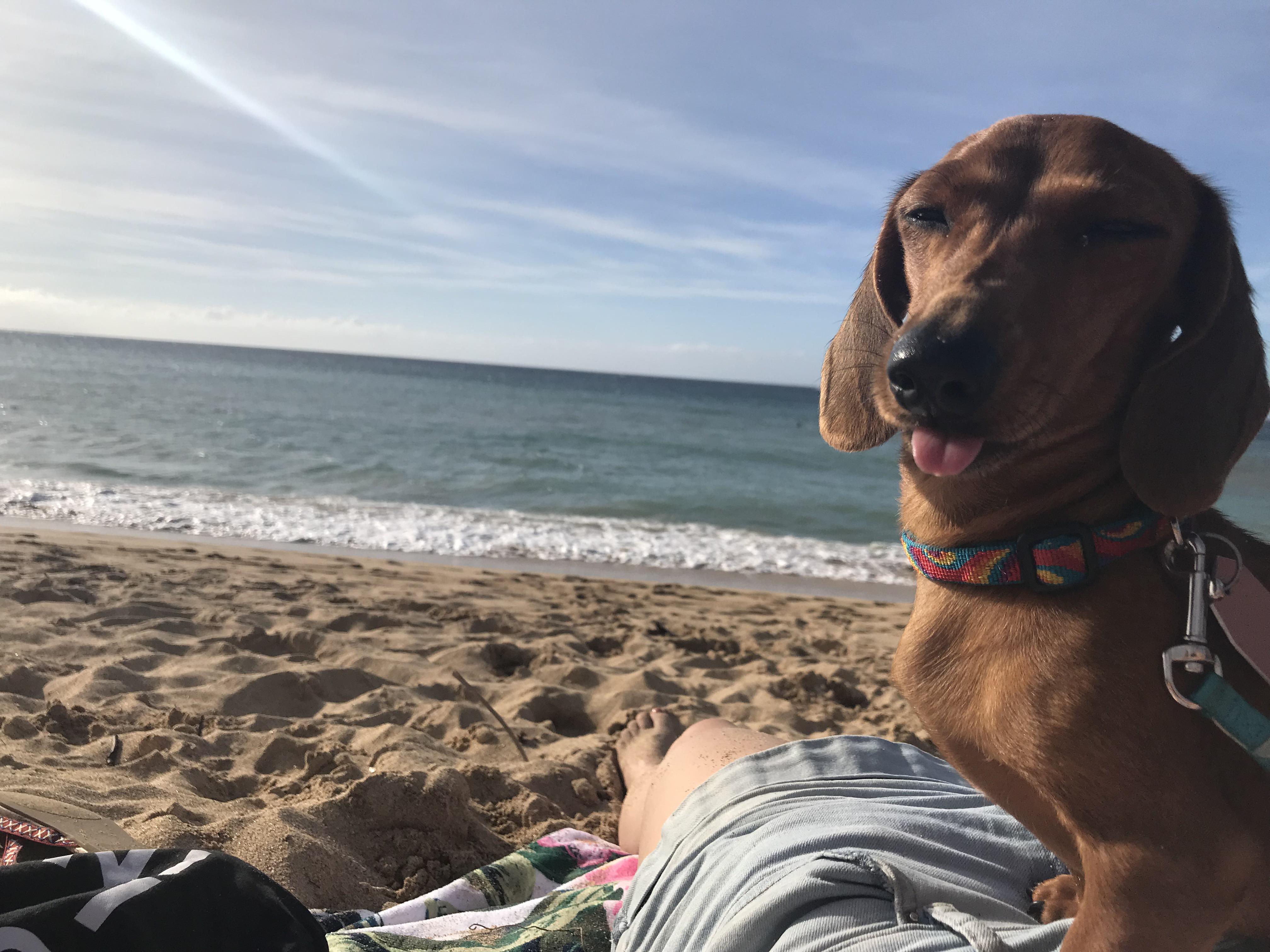 Beach Blop | Scrolller