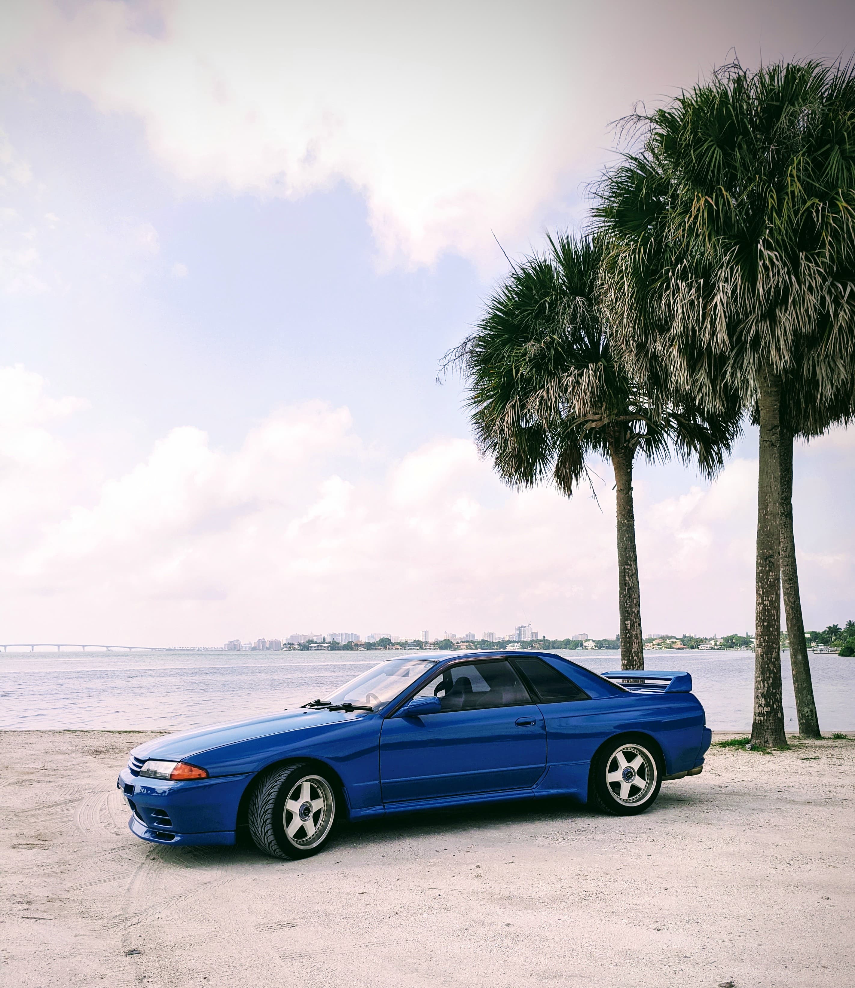 Beach bum | Scrolller