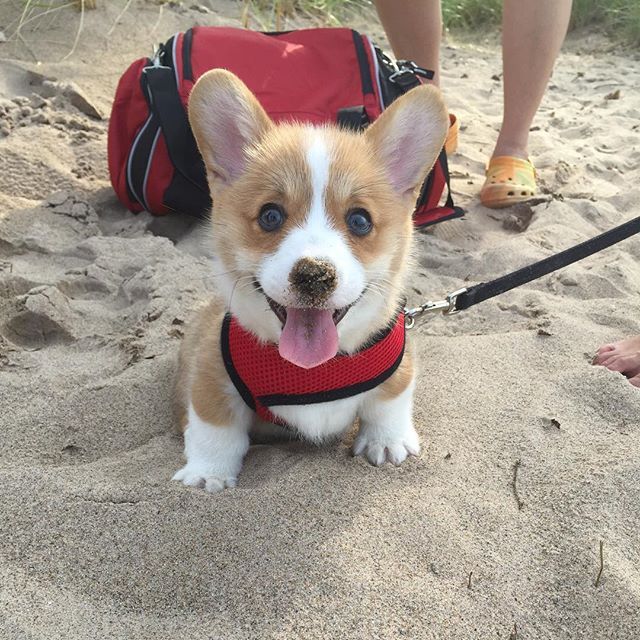 Beach day :) | Scrolller