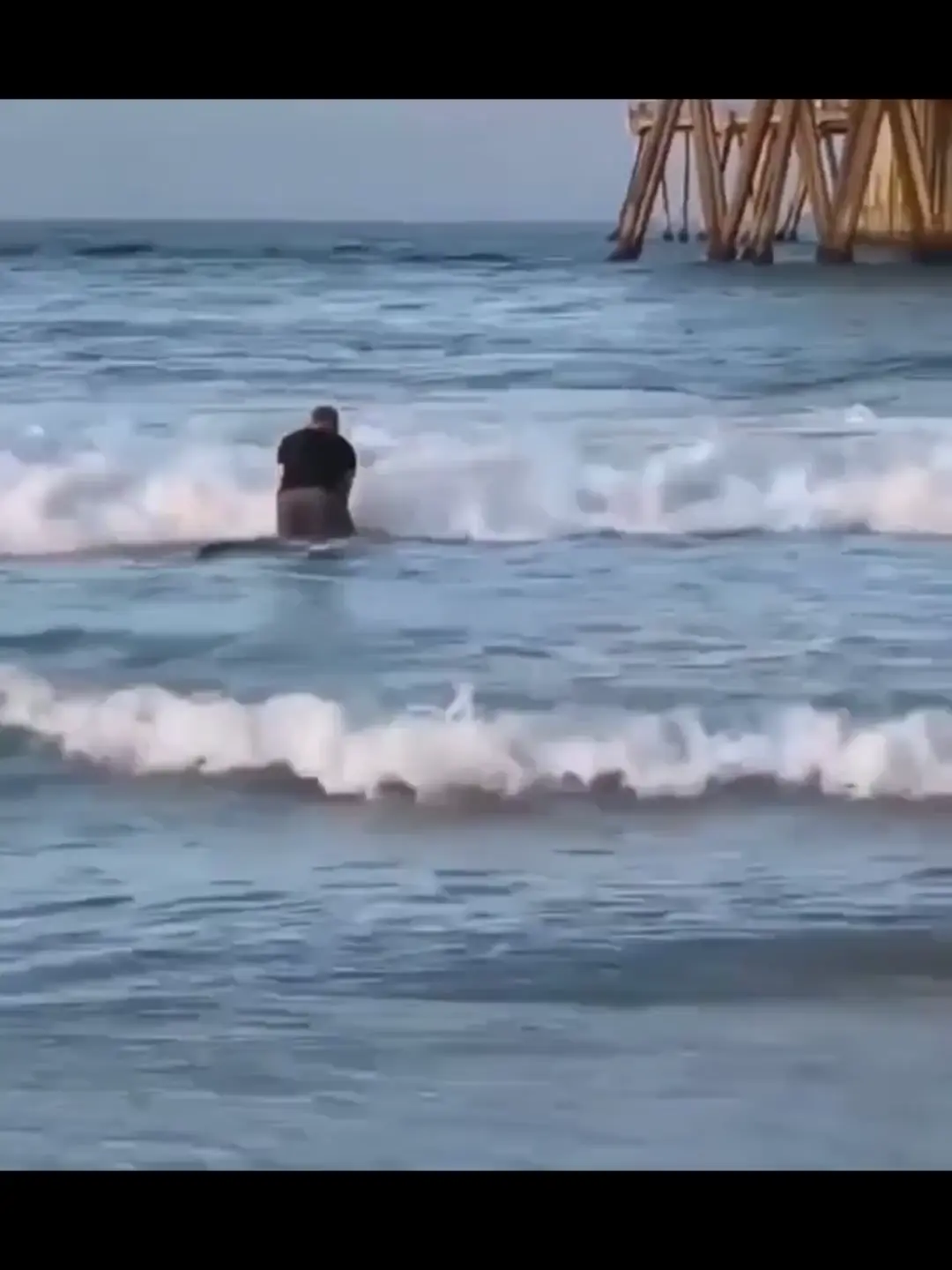 Beaching a shark | Scrolller