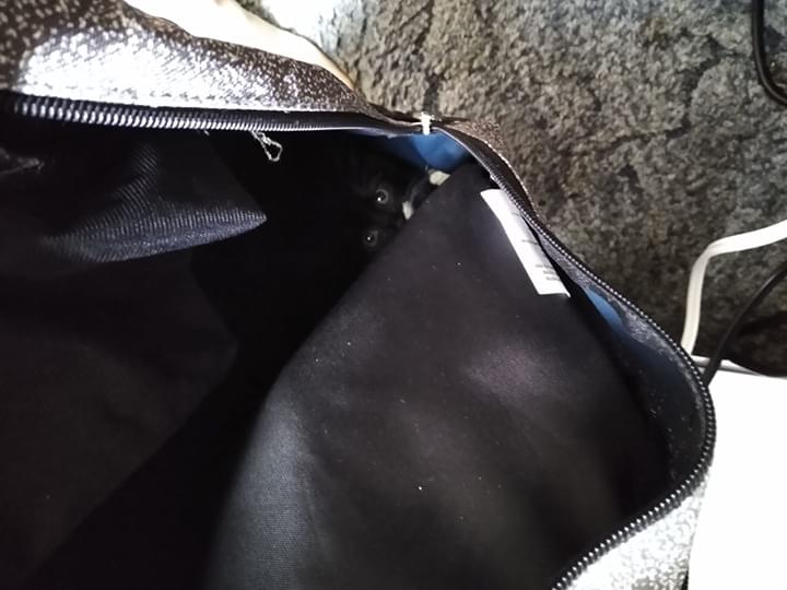 Bean in a Bag | Scrolller