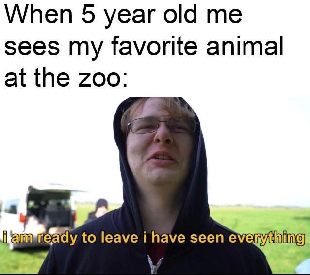 Bears are the best | Scrolller