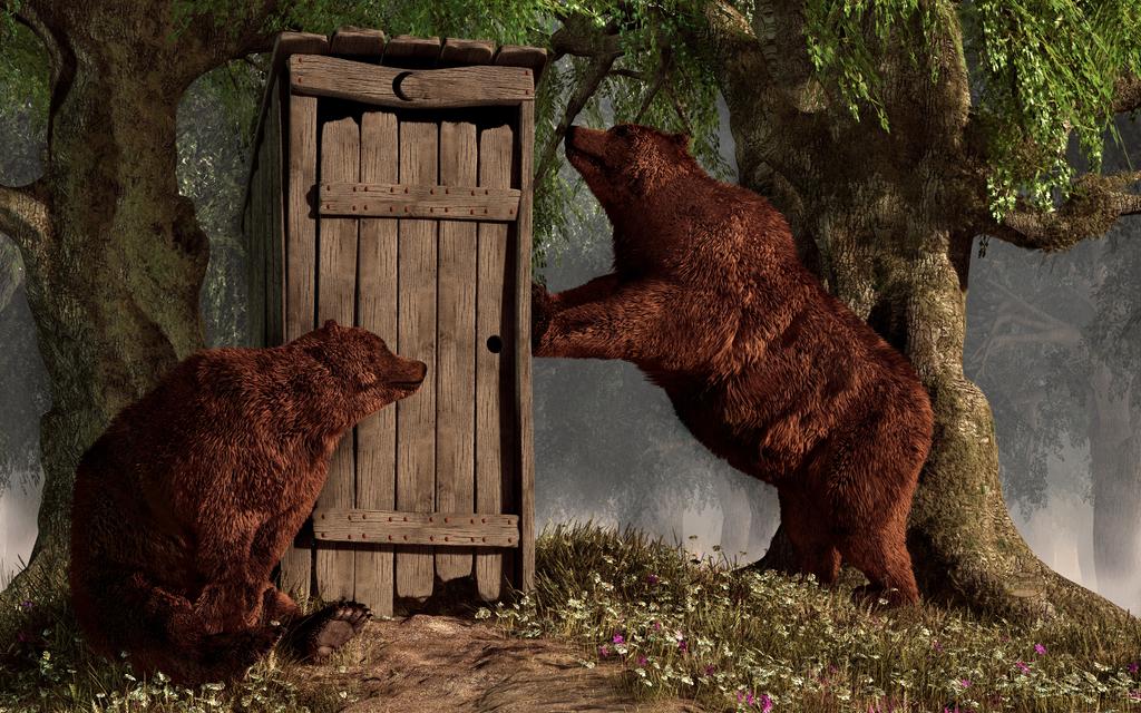 Bears Around The Outhouse by deskridge/Daniel Eskridge (humor) | Scrolller