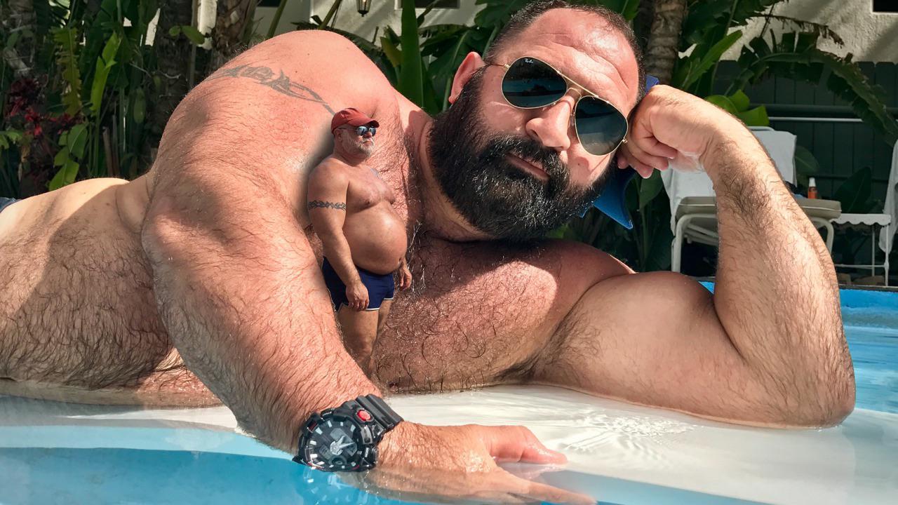 Poolside bears | Scrolller