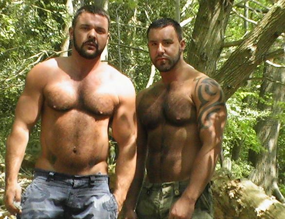 Bears in the forest | Scrolller