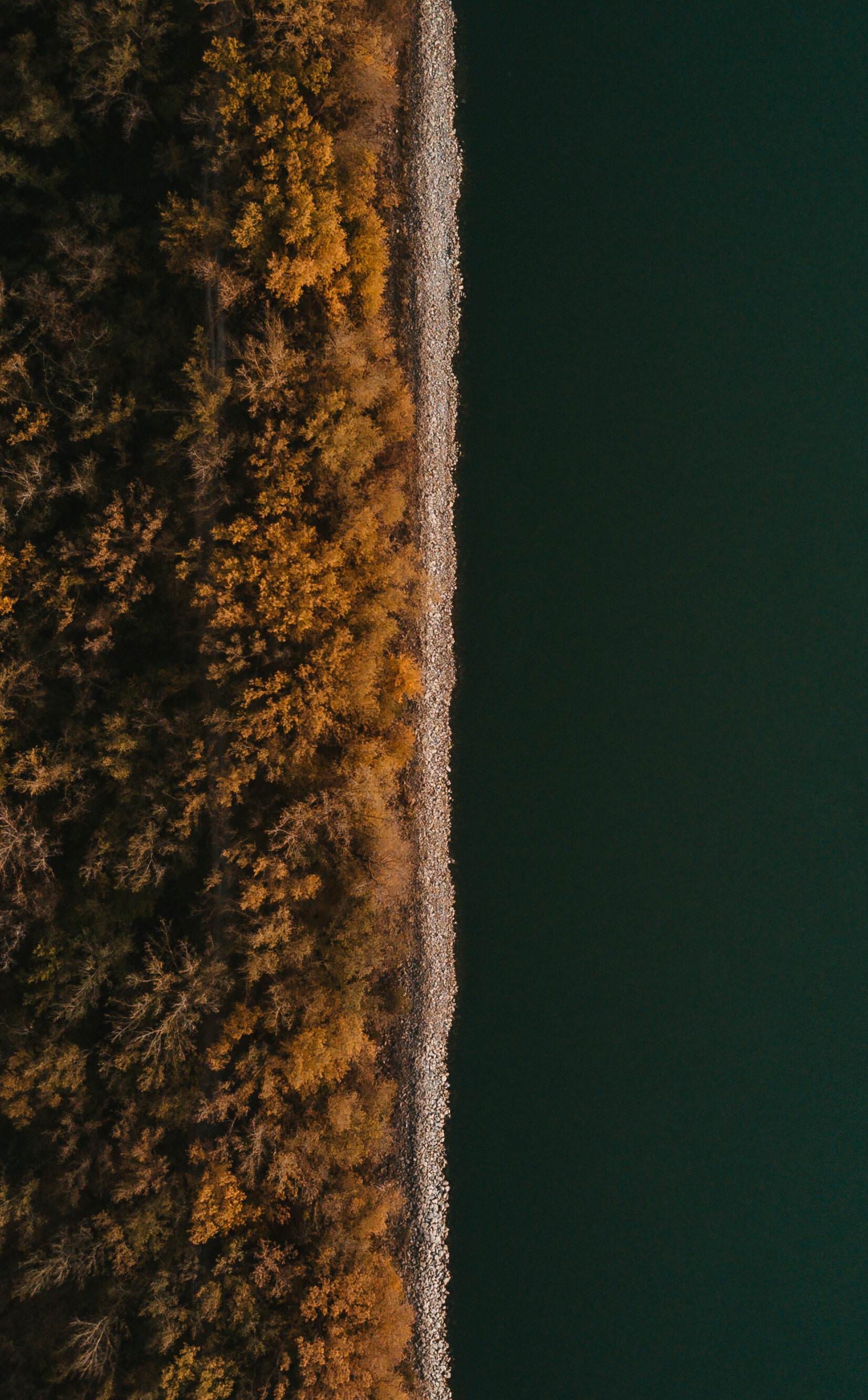 beautiful colors of fall 🍂 | Scrolller