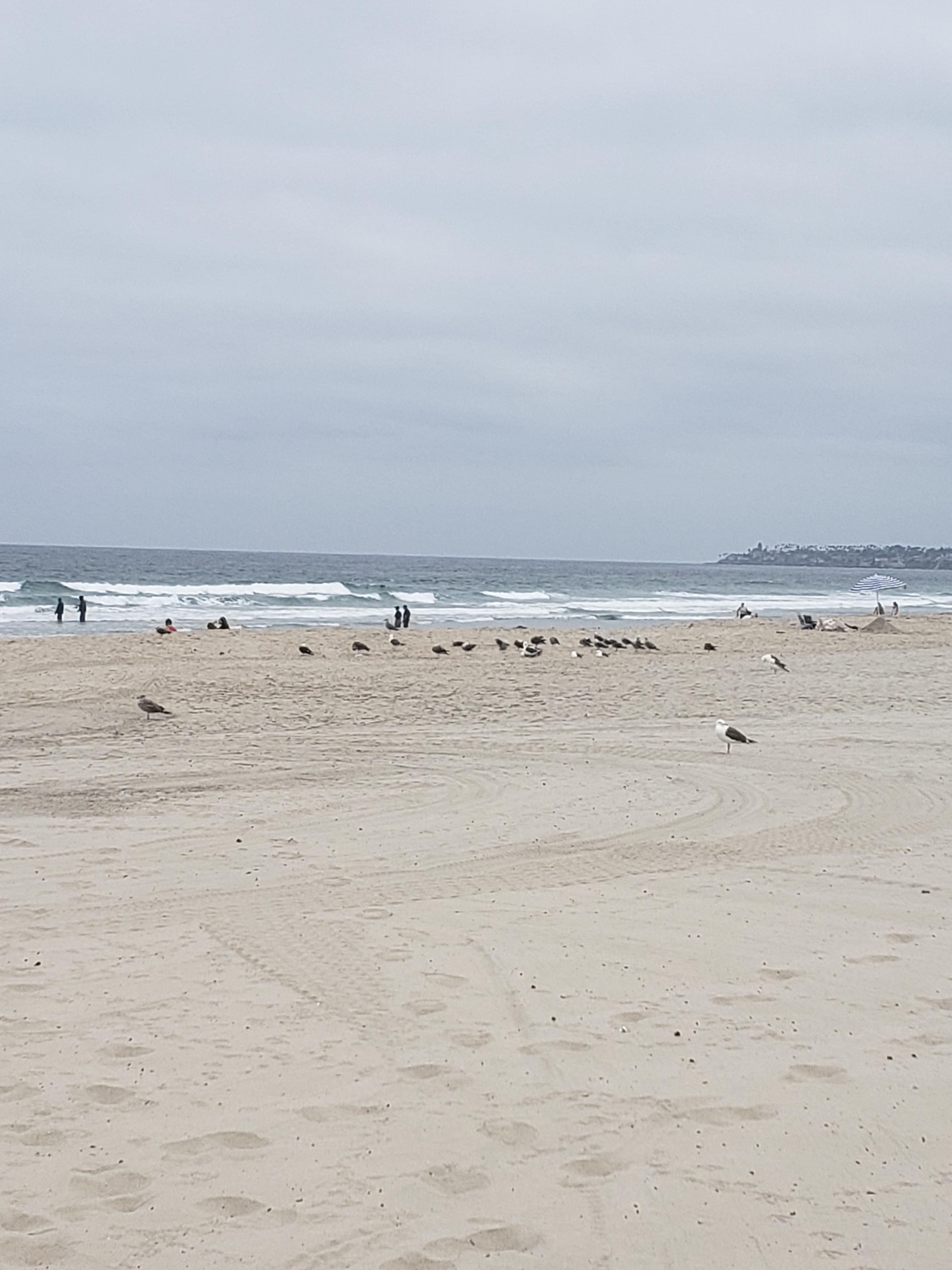 Beautiful morning at mission beach | Scrolller