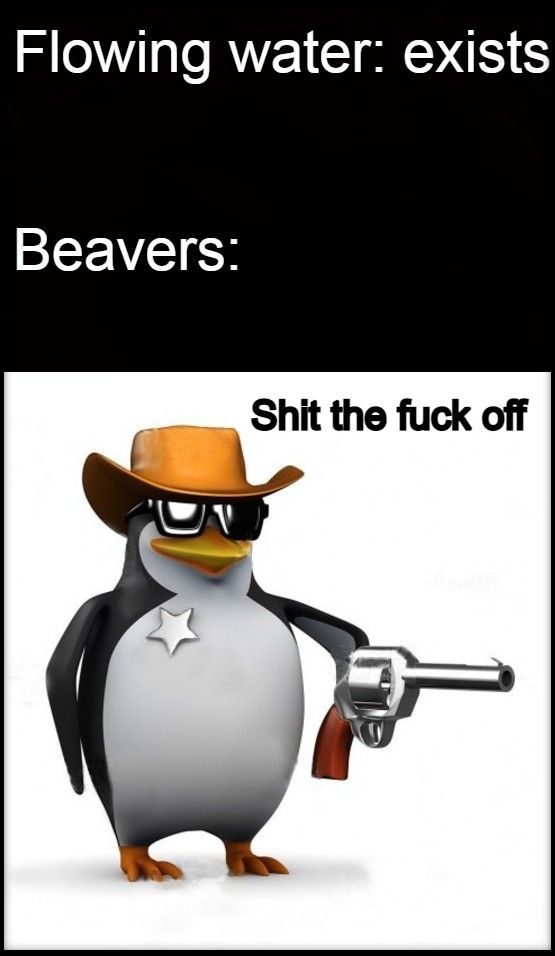 Beavers, amirite? | Scrolller