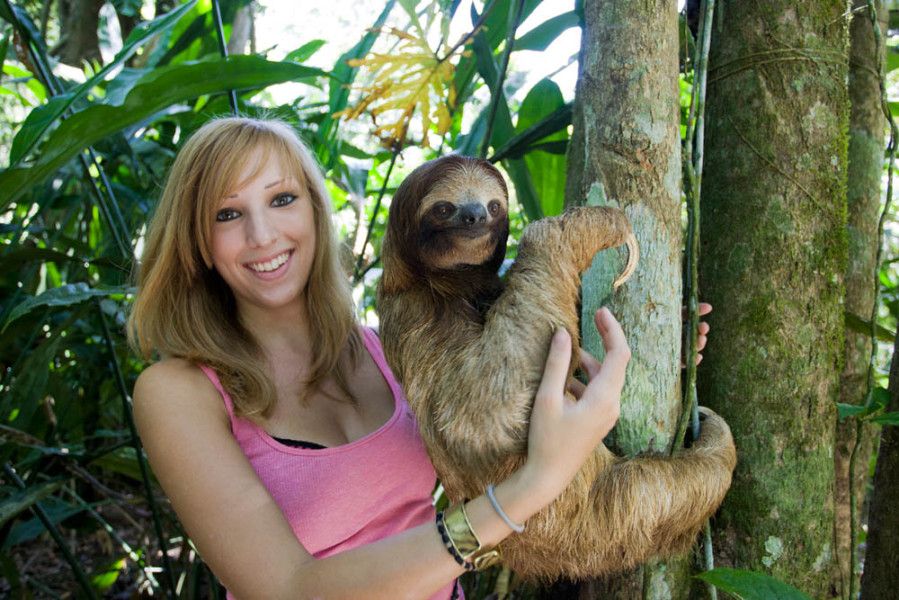 Becky Cliffe - The Sloth Woman of Costa Rica | Scrolller