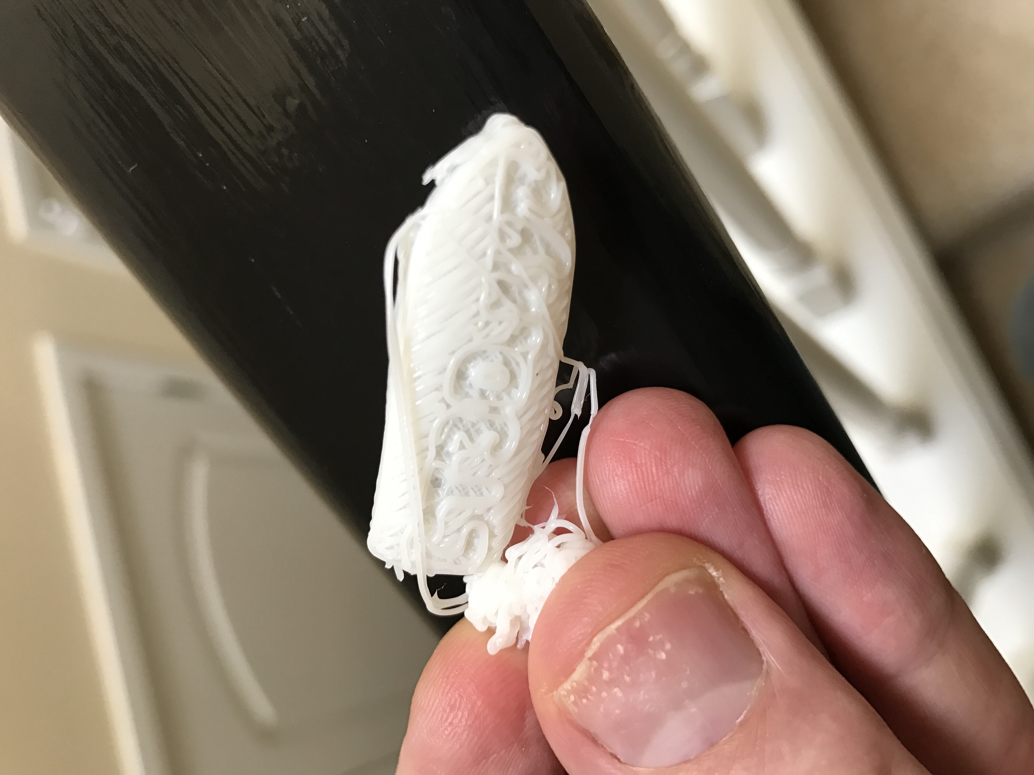 Bed adhesion issues | Scrolller