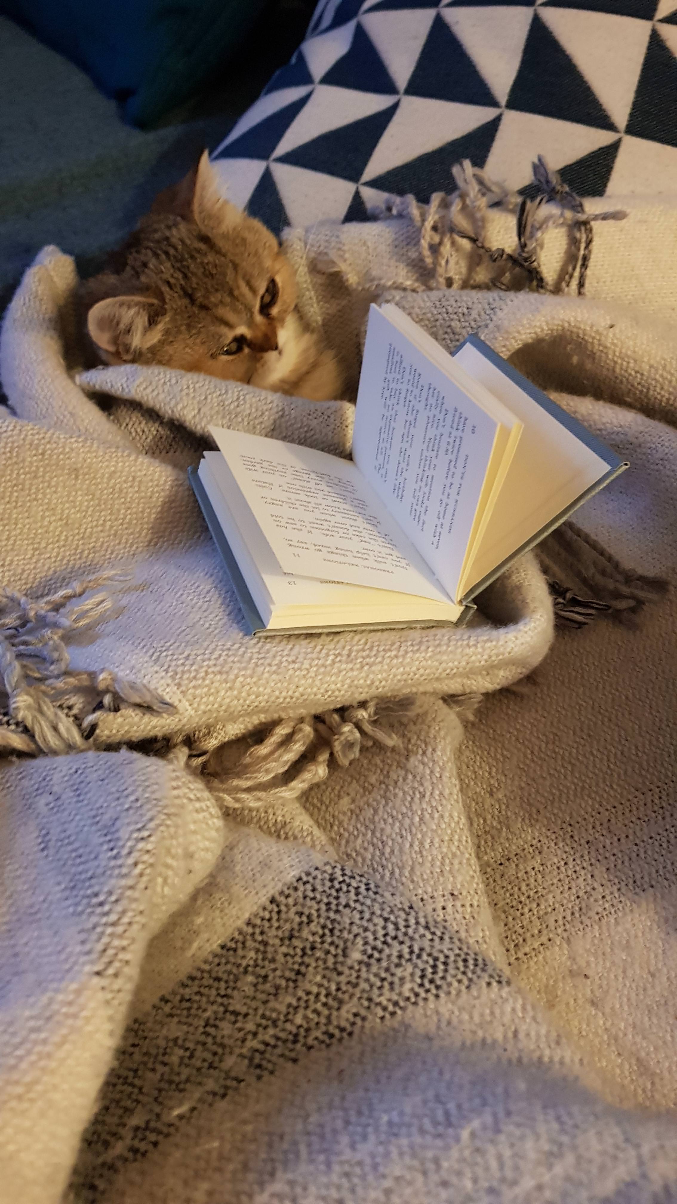 Bedtime reading | Scrolller