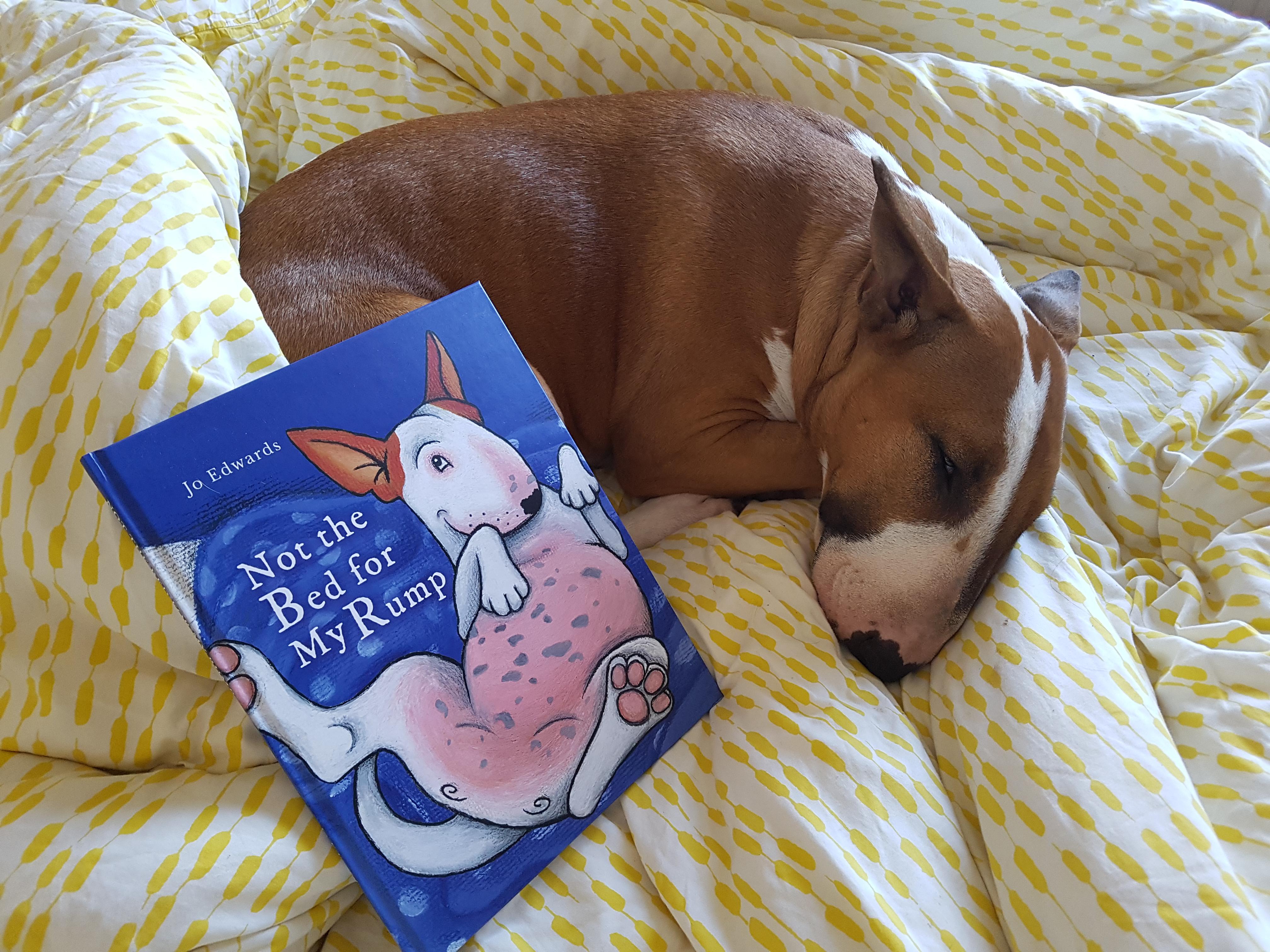 Bedtime stories for my pampered pooch | Scrolller