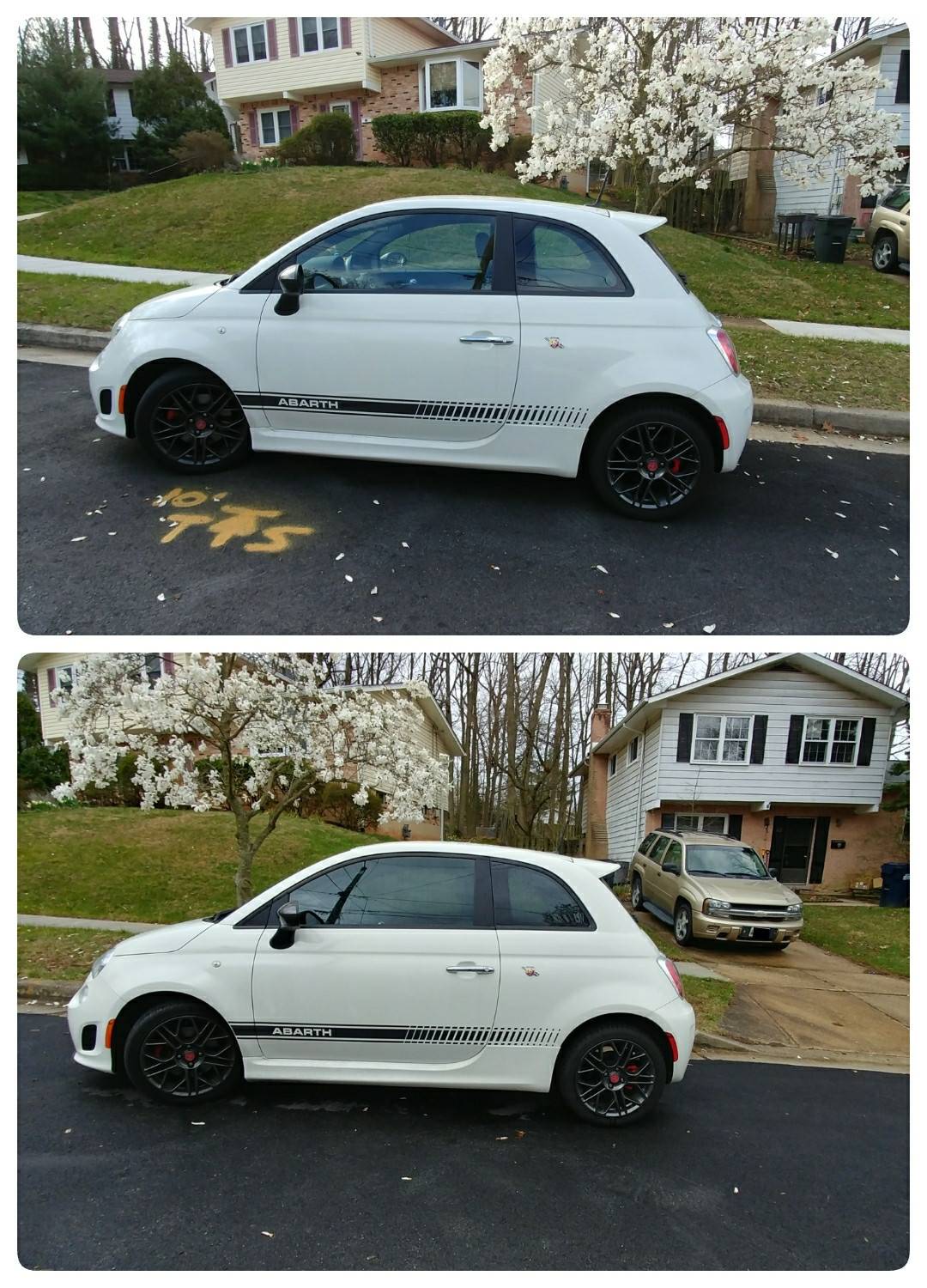 Before and after a tinting job. Her name is Francesca | Scrolller