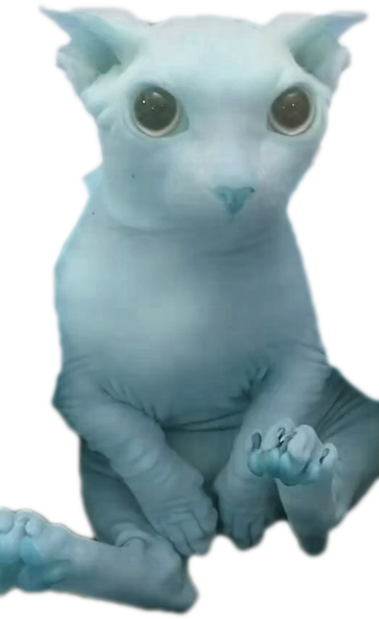 BEHOLD SHINY BINGUS | Scrolller