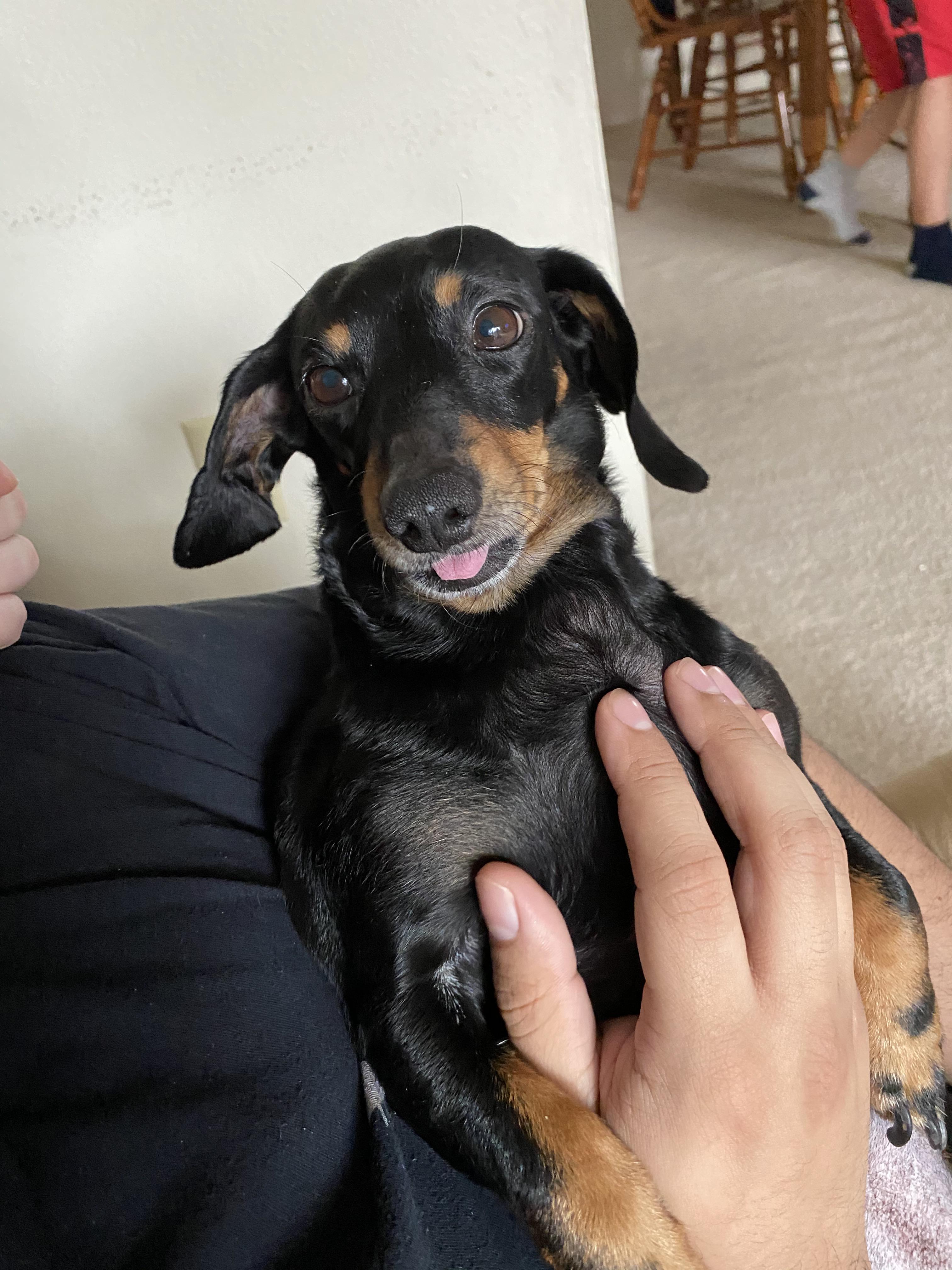 Bella bloop | Scrolller